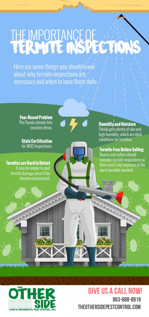 The Importance of Termite Inspections [infographic] | The Other Side ...